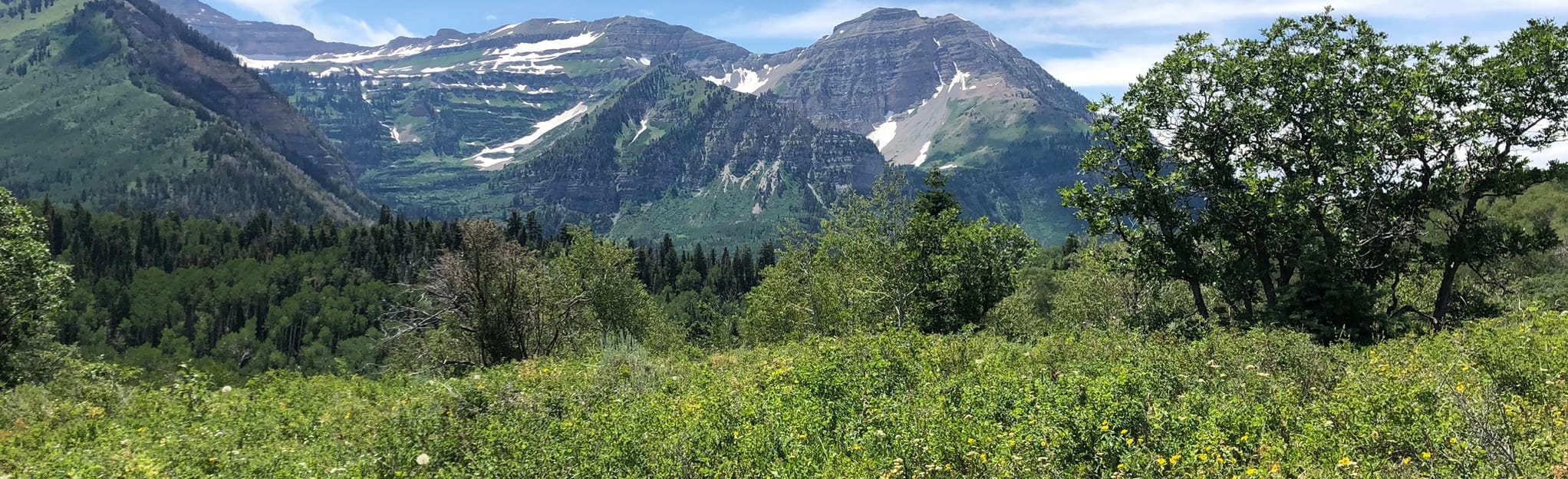 Pine Hollow Mud Springs Loop - Utah | AllTrails