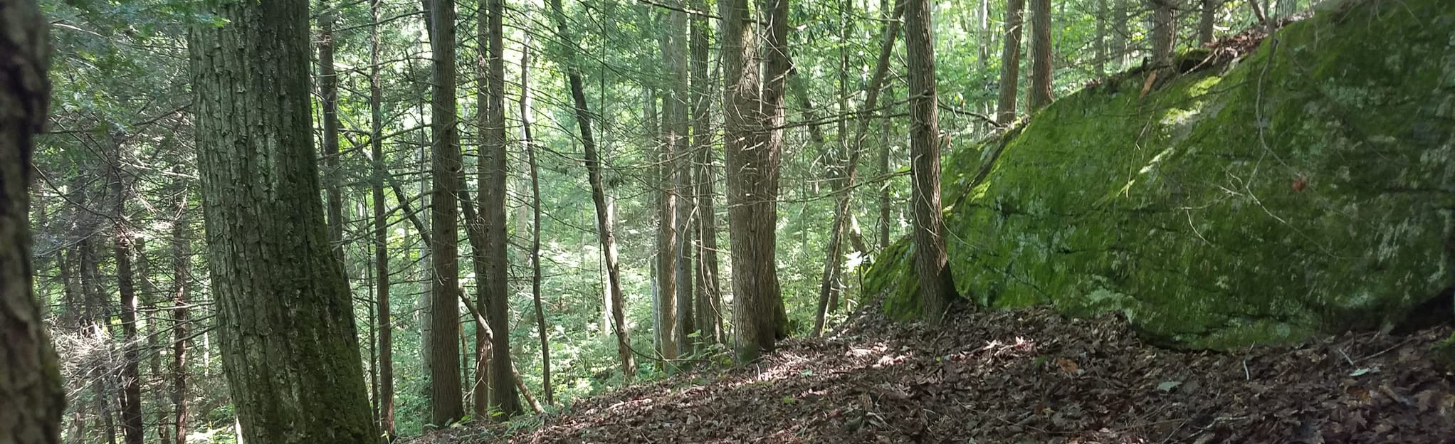 Cumberland Trail: Obed Wild and Scenic River Segment | Map, Guide ...