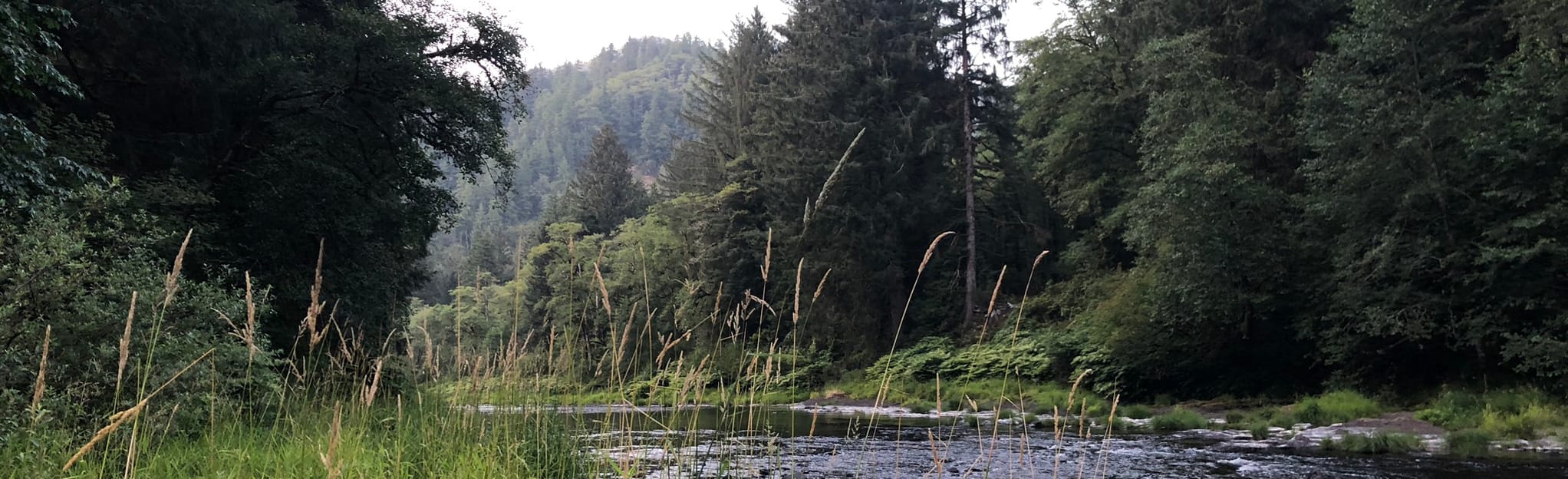 Trask River: Fish Hatchery to Upper Peninsula Boat Ramp: 2 Reviews, Map ...