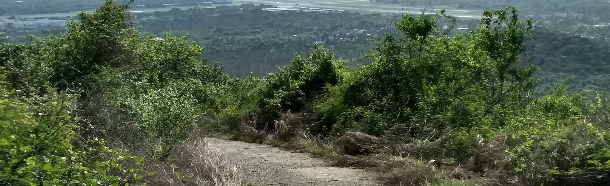 Perungalathur Hill Trail, Tamil Nadu, India - 5 Reviews, Map | AllTrails