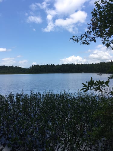 Best Hikes and Trails in Rindge | AllTrails