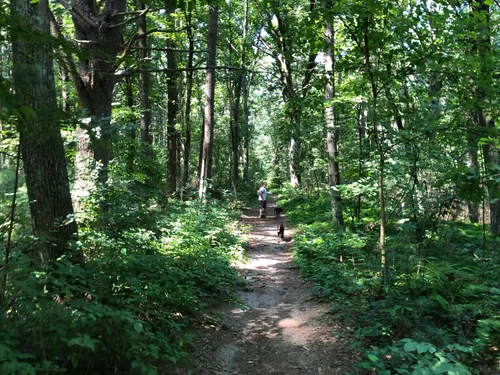 2023 Best Easy Trails in Marlborough-Sudbury State Forest | AllTrails