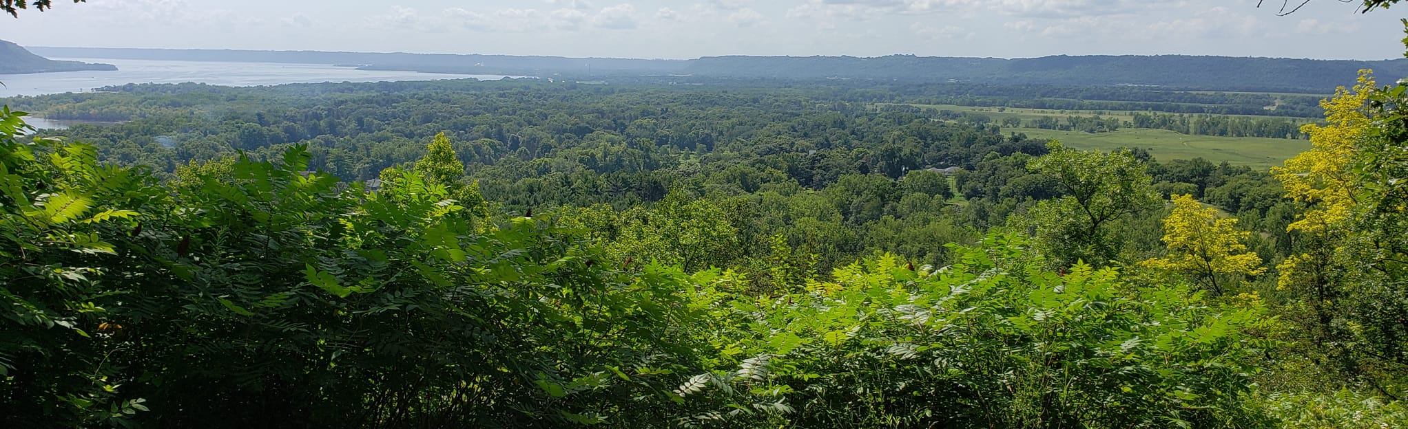 Pine Loop Trail, Minnesota - 96 Reviews, Map | AllTrails