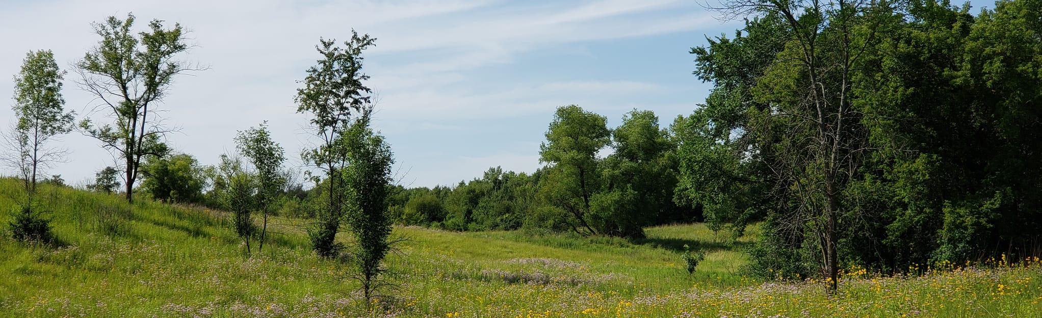 Eastman Nature Center East Loop, Minnesota - 205 Reviews, Map | AllTrails