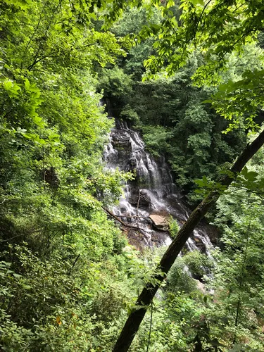 2023 Best Waterfall Trails in Walhalla | AllTrails