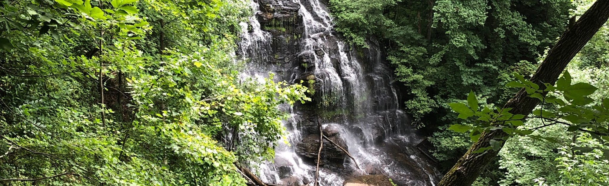 Issaqueena Falls Trail, South Carolina - 755 Reviews, Map | AllTrails