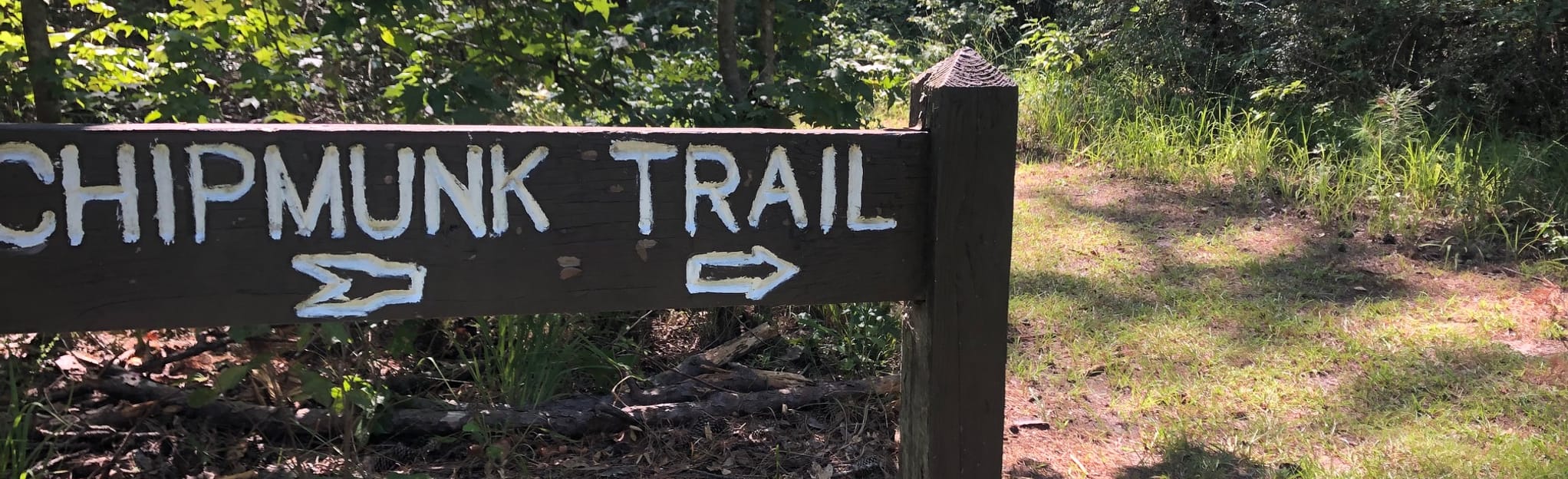 Chipmunk Trail, Alabama - 4 Reviews, Map | AllTrails