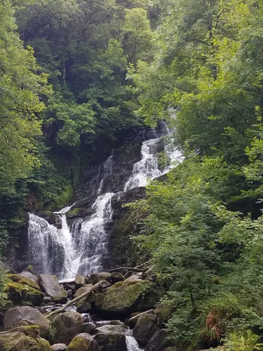 10 Best Hikes and Trails in Killarney National Park | AllTrails