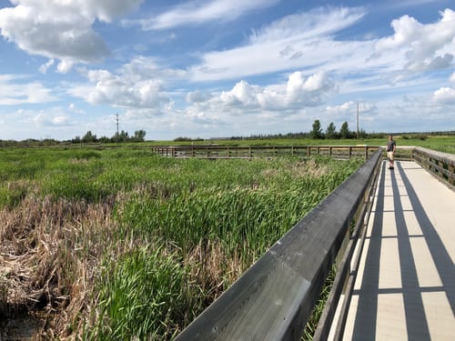 2023 Best 10 Trails and Hikes in St. Albert | AllTrails