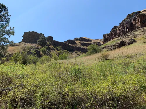 Best Forest Trails in Pomeroy | AllTrails