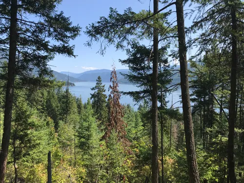 Best Hikes and Trails in Herald Provincial Park | AllTrails