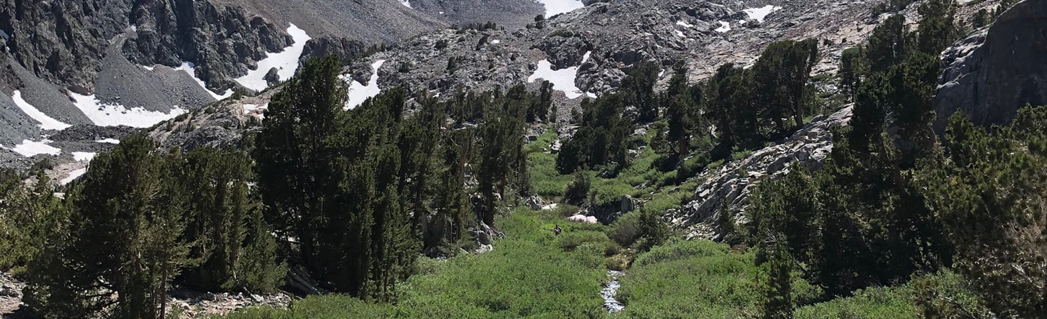 Baxter Pass Trail, California - 34 Reviews, Map | AllTrails