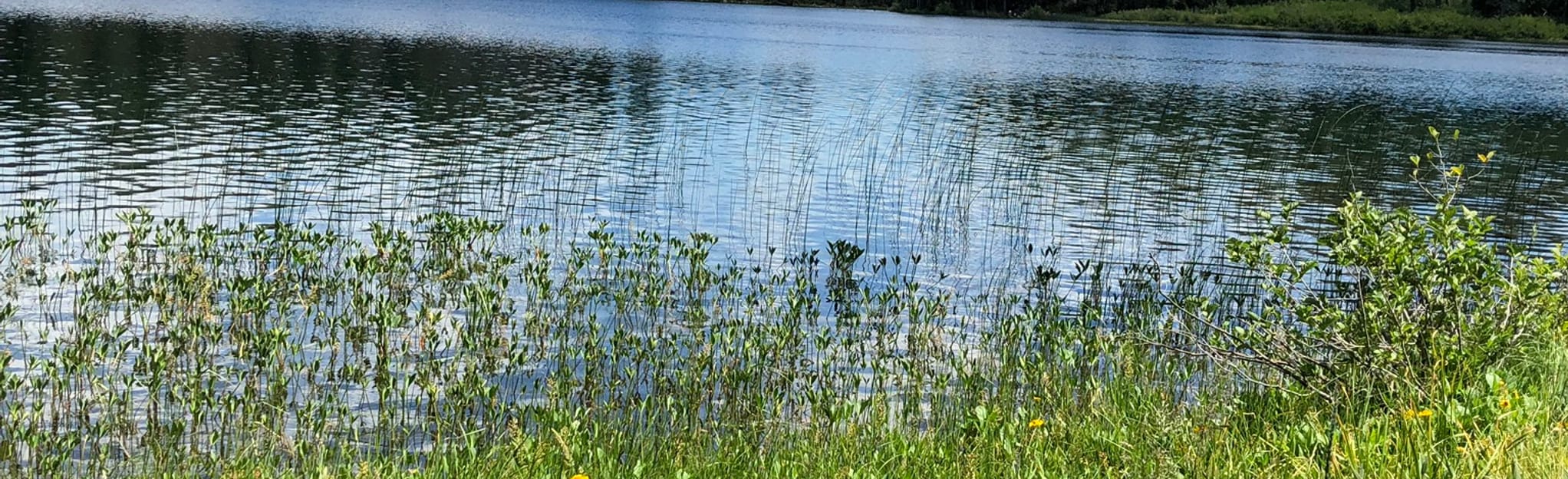 Smith Lake Trail, California - 264 Reviews, Map | AllTrails