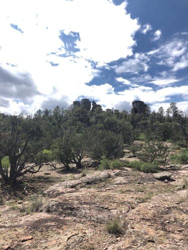 2023 Best 10 Trails in Parque Nacional Cumbres de Majalca | AllTrails