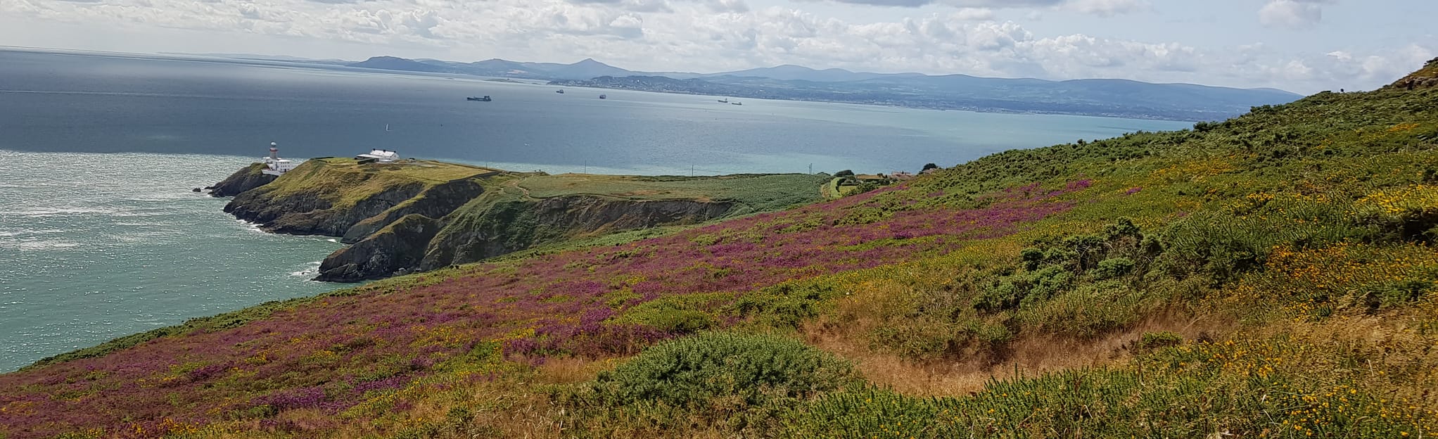 Howth Cliff Loop, County Dublin, Ireland - 614 Reviews, Map | AllTrails