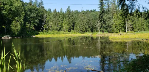 Best Hikes and Trails in Hayward Lake Recreation Area | AllTrails