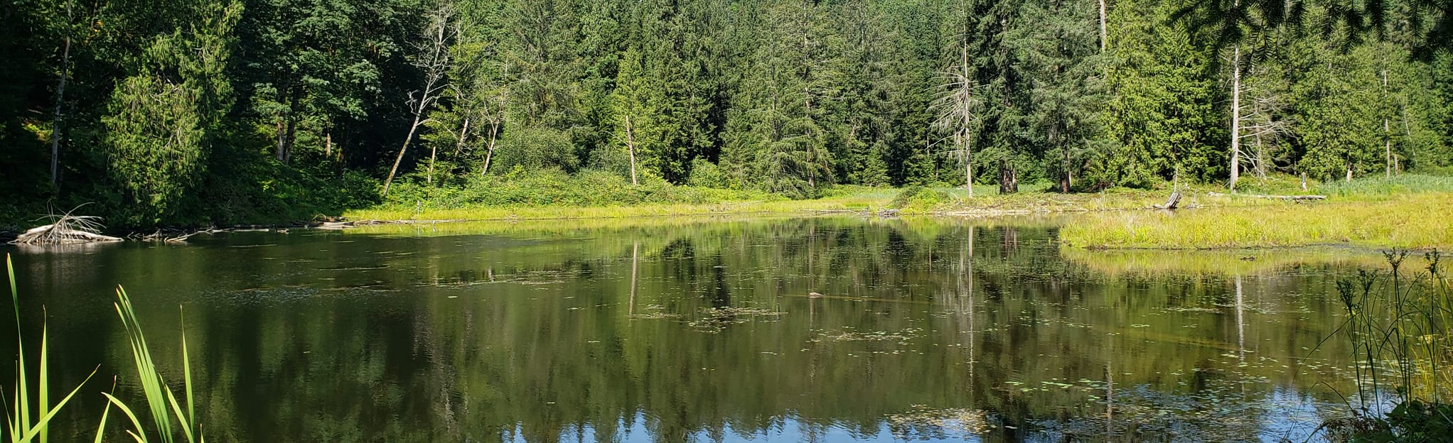 Hayward Lake Dog Beach, British Columbia, Canada - 8 Reviews, Map ...