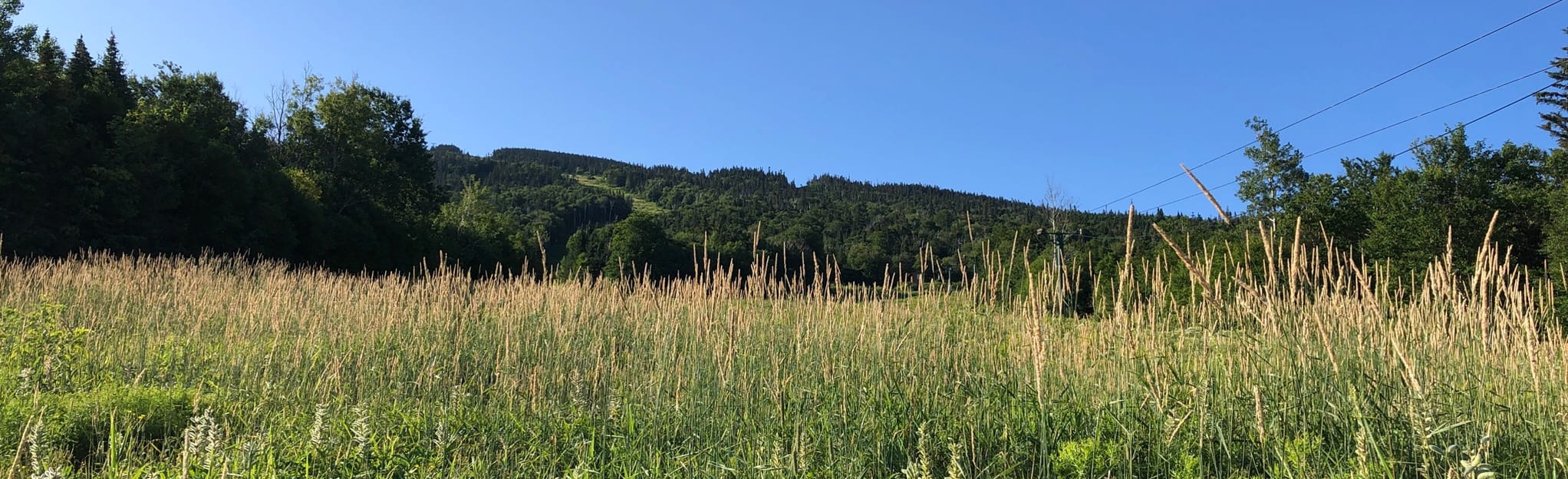 Morning Glory Trail Loop, Maine - 3 Reviews, Map | AllTrails