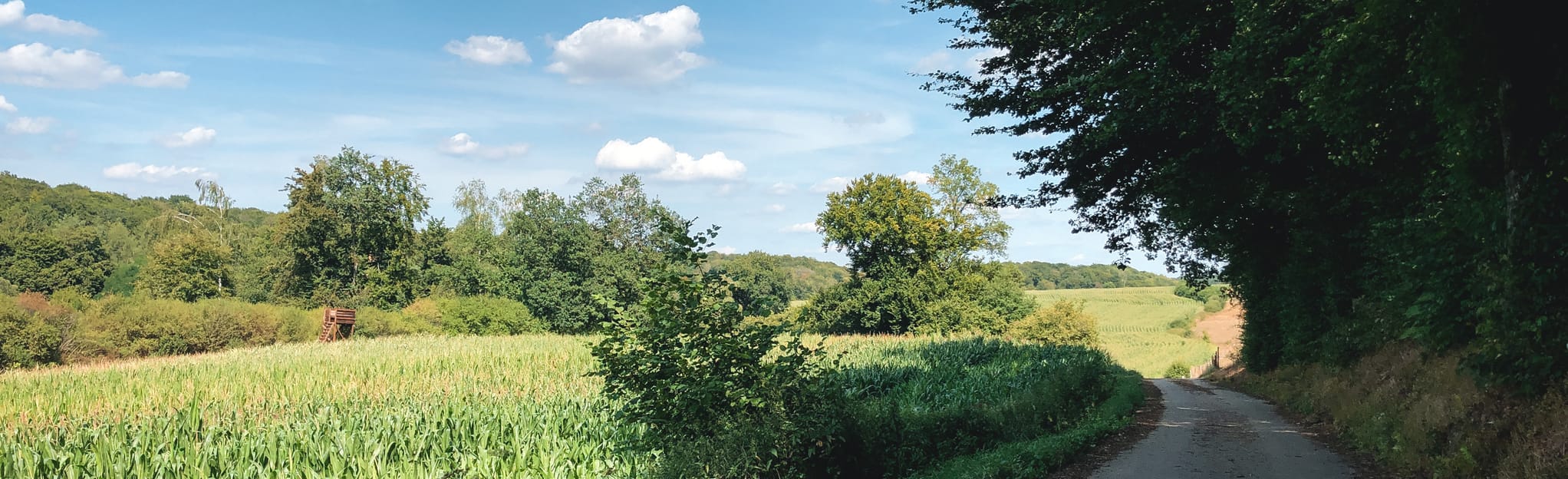 Rundwanderroute Koerich - Luxembourg, Luxembourg | AllTrails