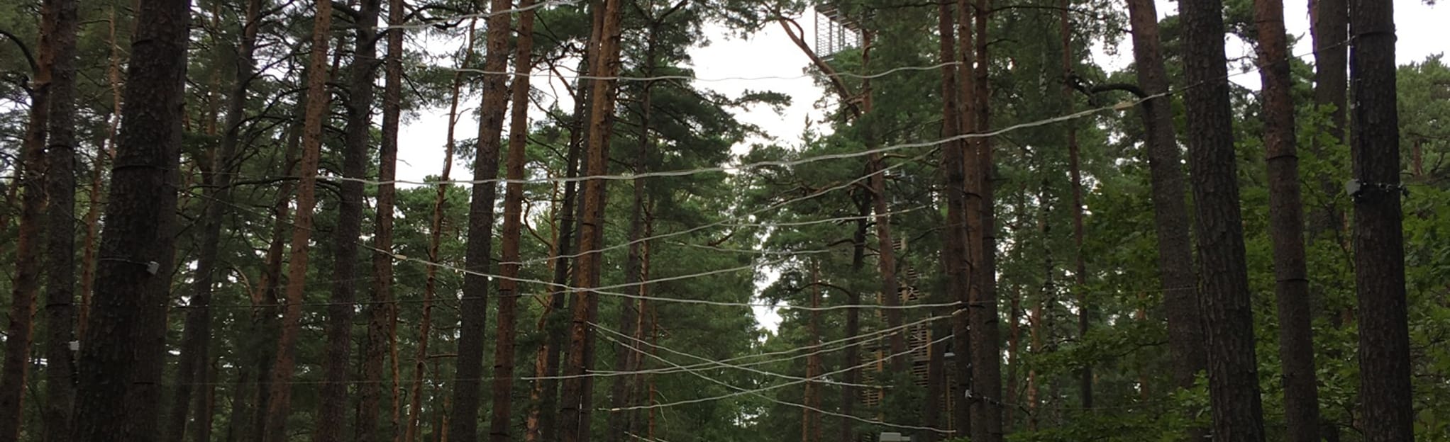 Dzintari Forest Park Walking Paths, Riga, Latvia - 6 Reviews, Map ...