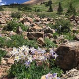 Hope Pass via Sheep Gulch Trail, Colorado - 115 Reviews, Map | AllTrails