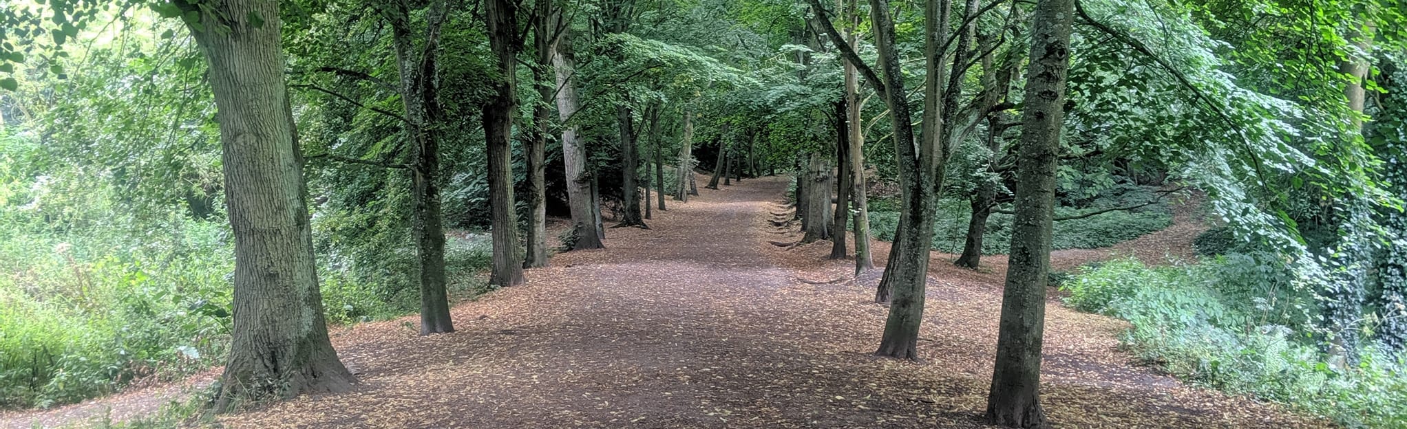 Hampstead Heath Circular, London, England - 774 Reviews, Map | AllTrails