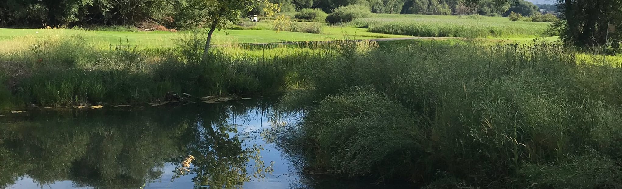 Logan River Trail: Rendezvous Park [CLOSED]: 237 Reviews, Map - Utah ...