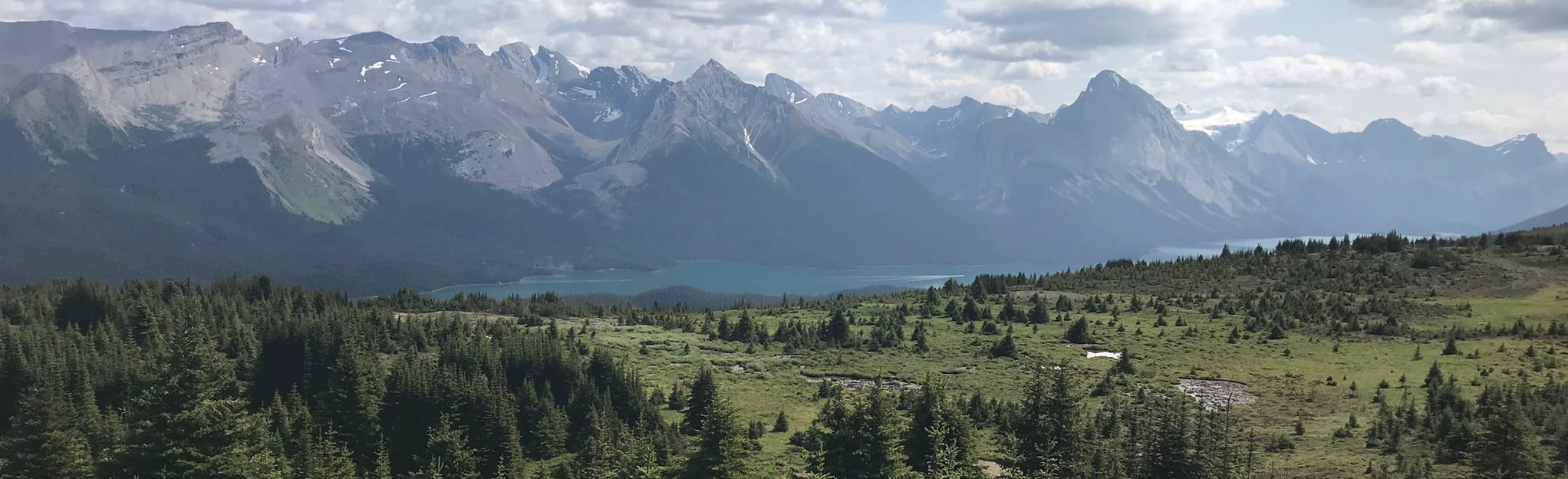 Bald Hills Loop: 985 Reviews, Map - Alberta, Canada | AllTrails