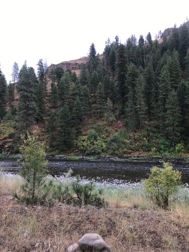 Best Hikes and Trails in Minam State Recreation Area | AllTrails