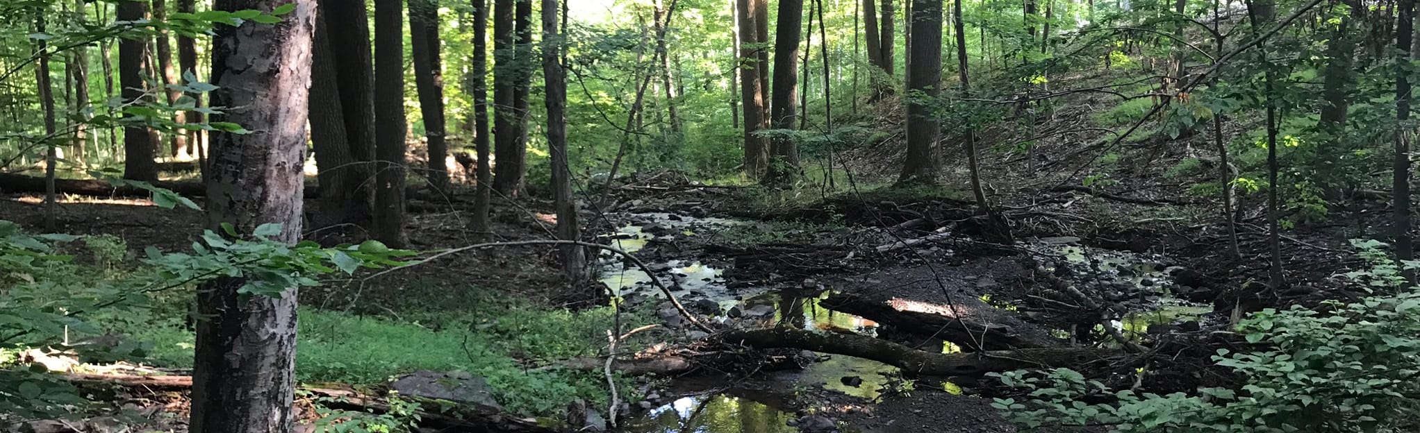 Laurie Chauncey and Lawrence-Hopewell Trail Loop: 129 foto's - New ...