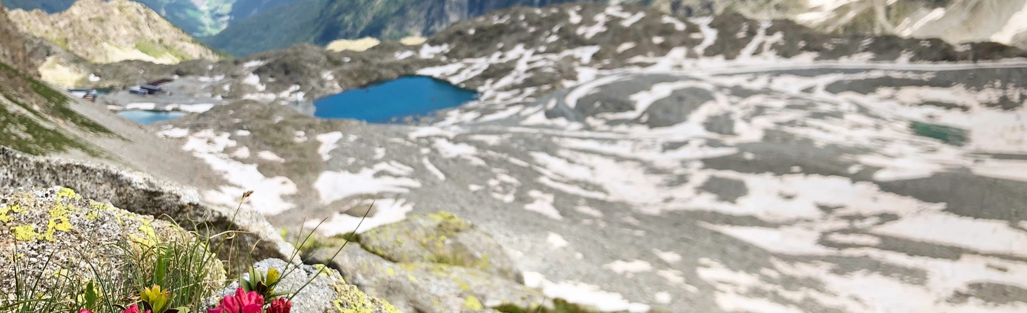 Passo Paradiso - Ghiacciaio del Presena - Passo Lago Scuro: 0 Reviews ...