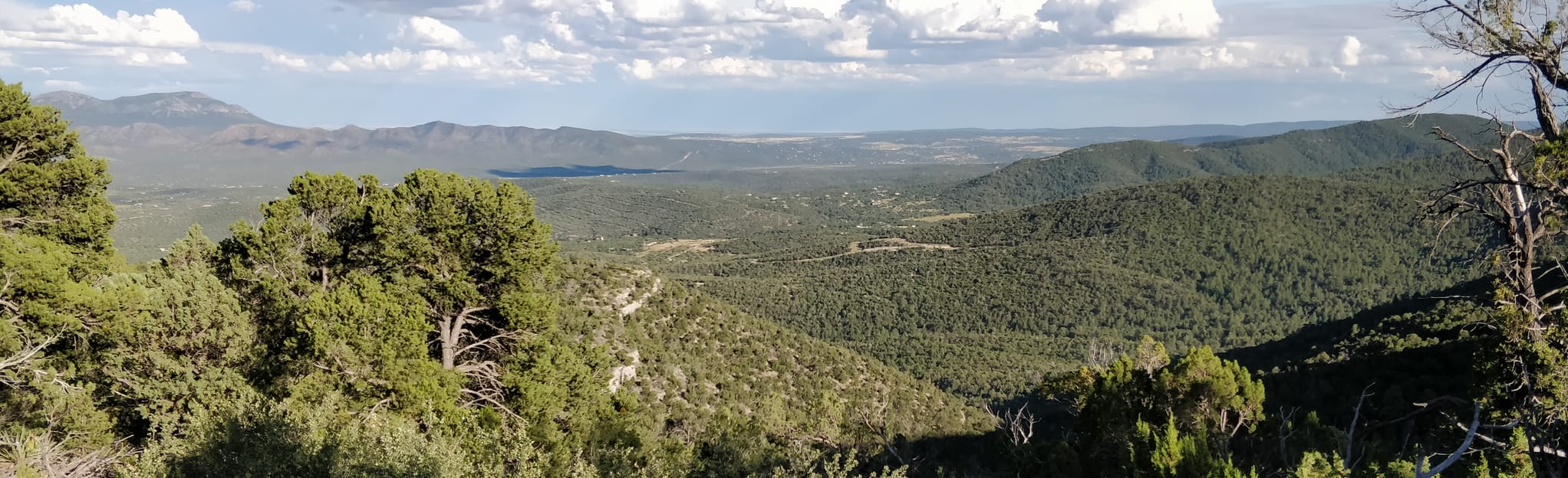 AllTrails | Palomas Peak Via Faulty Trail: 61 Reviews, Map - New Mexico
