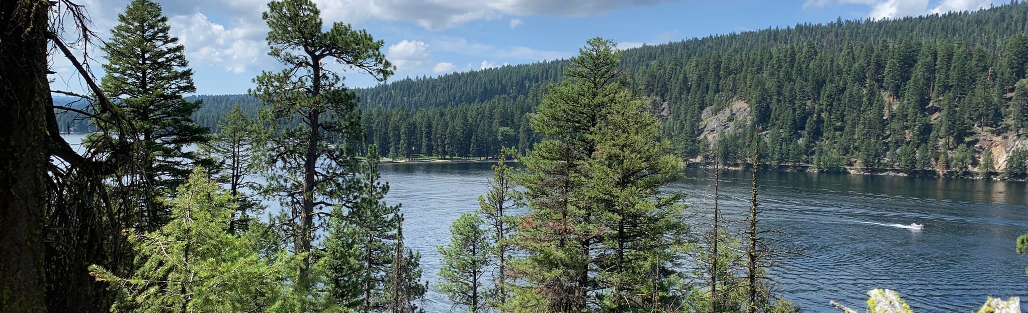 Miles Standish, Huckleberry, and Peninsula Trail Loop, Idaho - 274 ...