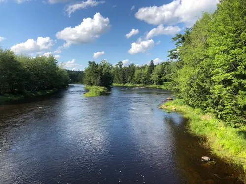 Best Hikes and Trails in Machias | AllTrails