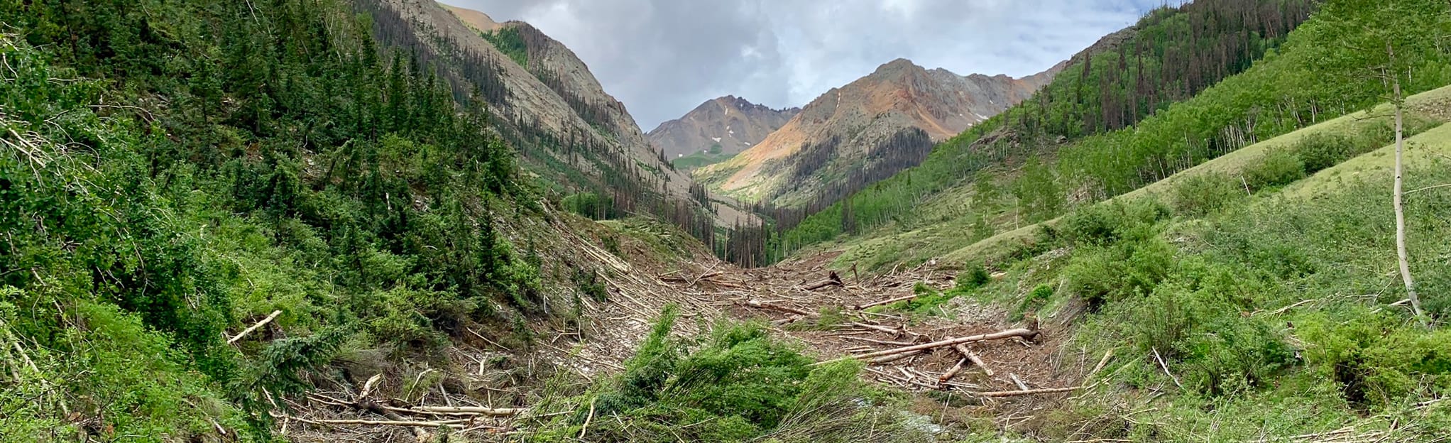 Alpine Gulch Trail: 22 Reviews, Map - Colorado | AllTrails