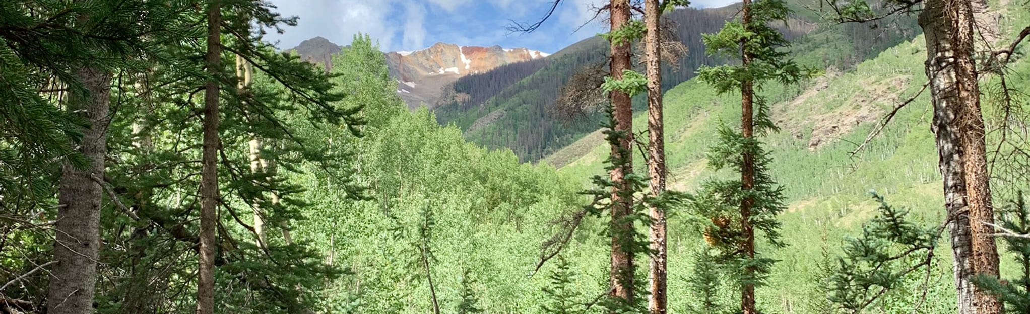 Alpine Gulch Trail - Colorado | AllTrails
