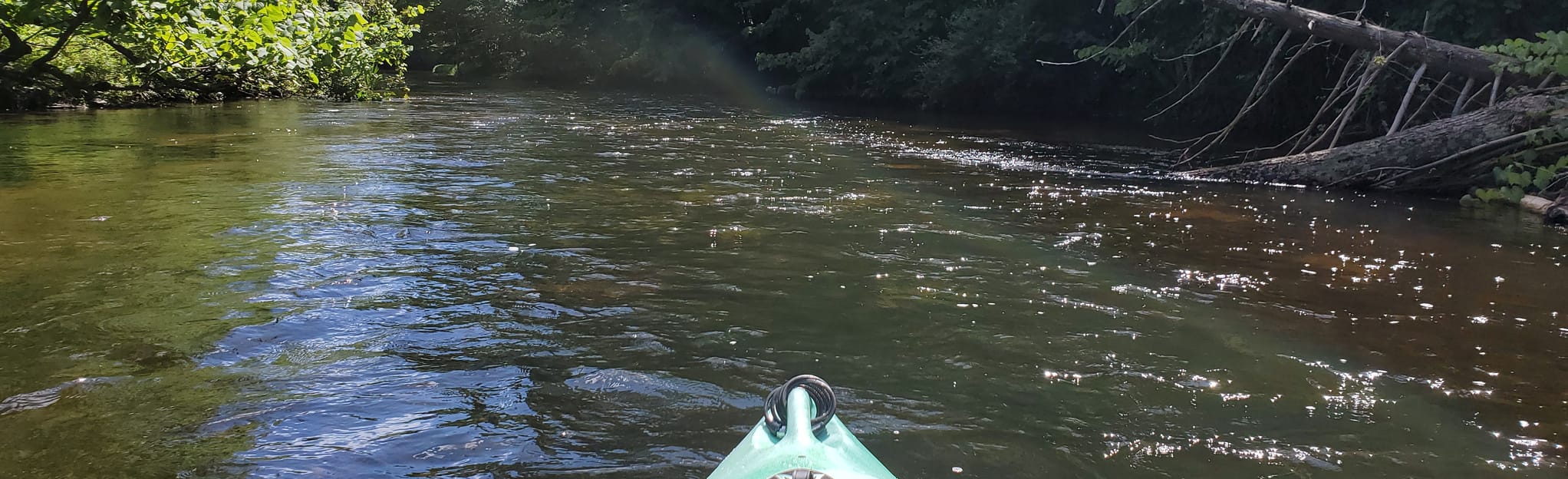 Betsie River Paddle Route: 5 Reviews, Map - Michigan | AllTrails