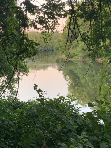 Best Hikes and Trails in Jim Dietrich Park | AllTrails