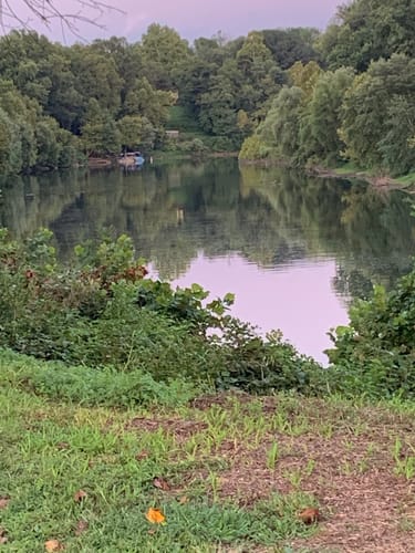 Best Hikes and Trails in Jim Dietrich Park | AllTrails