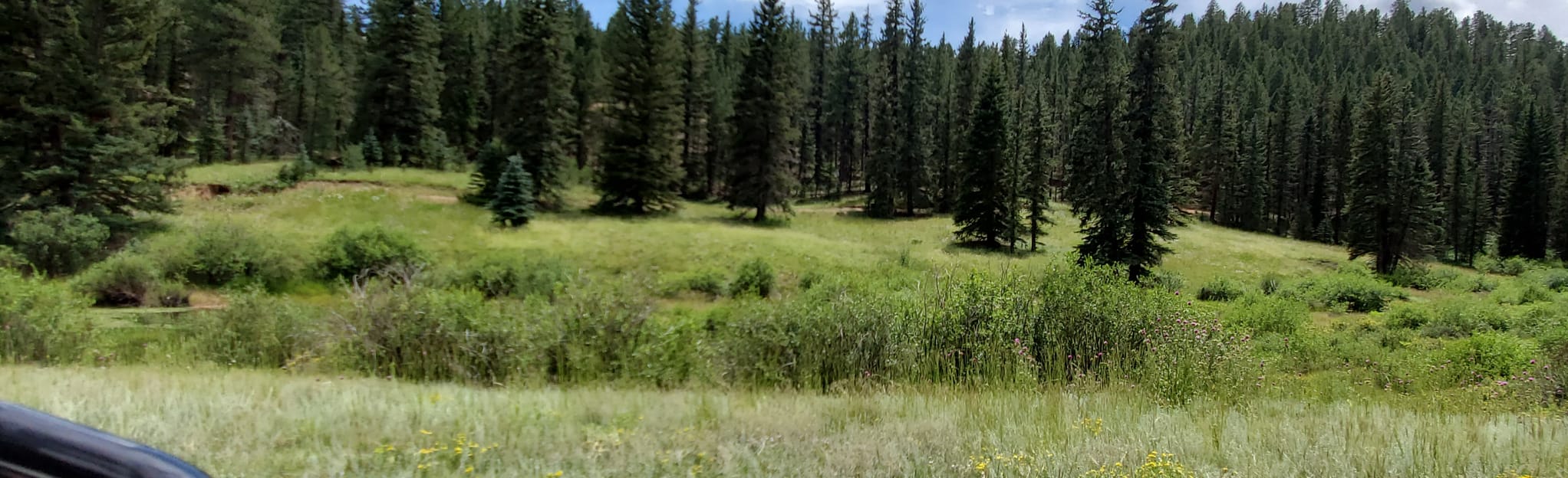 Phantom Creek OHV Loop, Colorado - 60 Reviews, Map | AllTrails