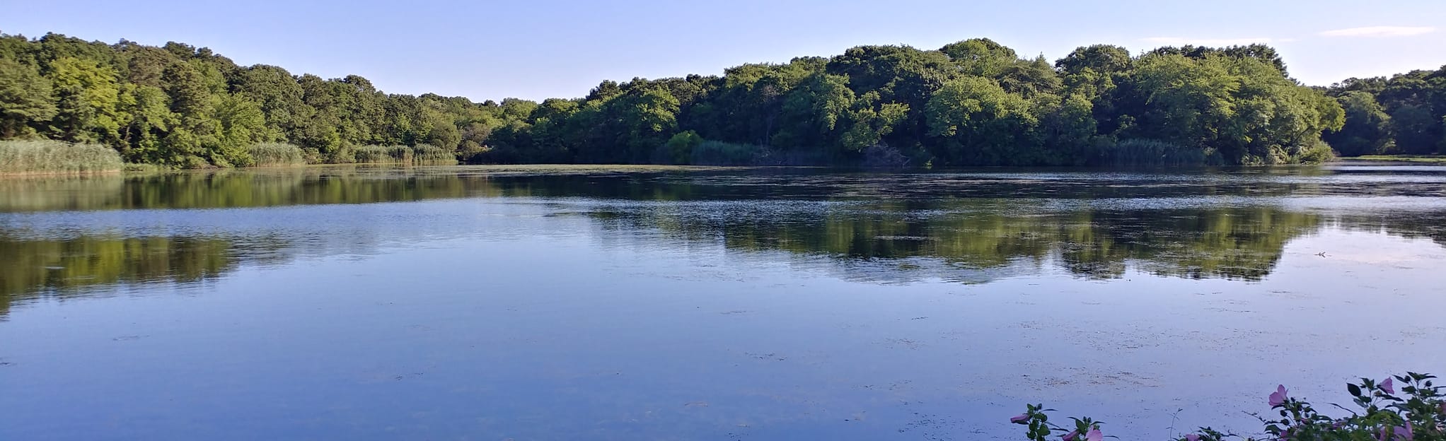 Massapequa Lake Trail, New York - 1,630 Reviews, Map | AllTrails