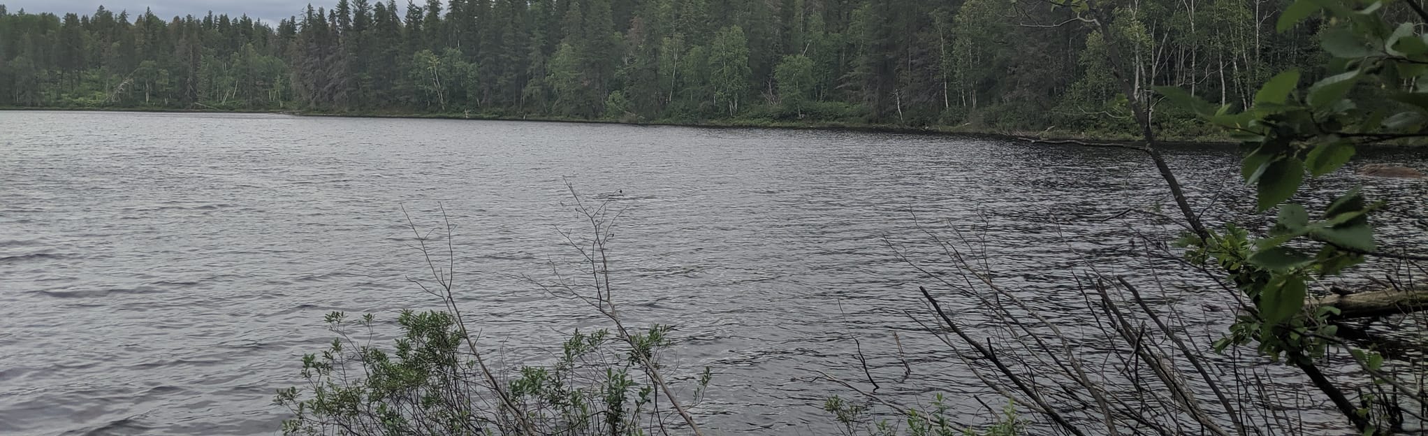 Leece Lake Loop | Map, Guide - Ontario, Canada | AllTrails