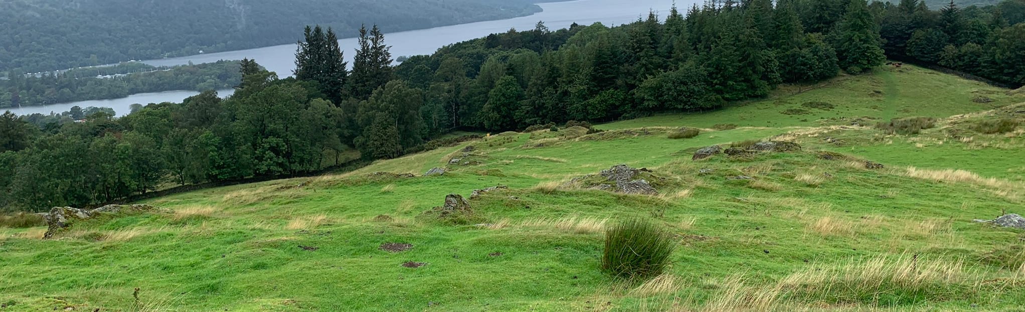 Windermere and Brant Fell Circular - Cumbria, England | AllTrails