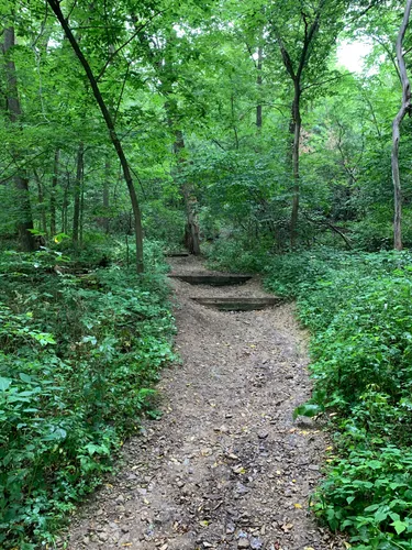 Best Hikes and Trails in Quarry Hill Park | AllTrails