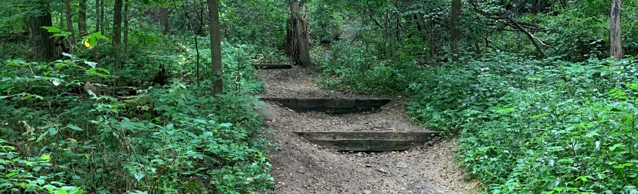 Savanna Trail Loop, Minnesota - 65 Reviews, Map | AllTrails