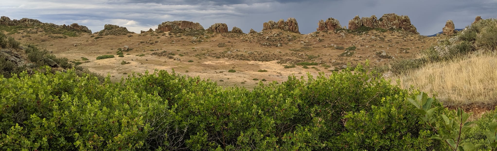 AllTrails | Blue Sky Trail to Devil's Backbone: 73 Reviews, Map - Colorado