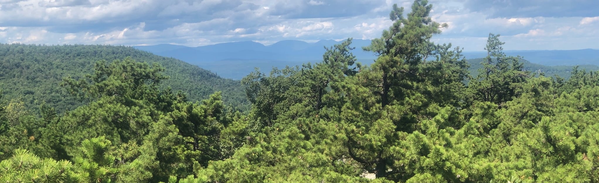 Millbrook Ridge Trail, New York - 259 Reviews, Map | AllTrails