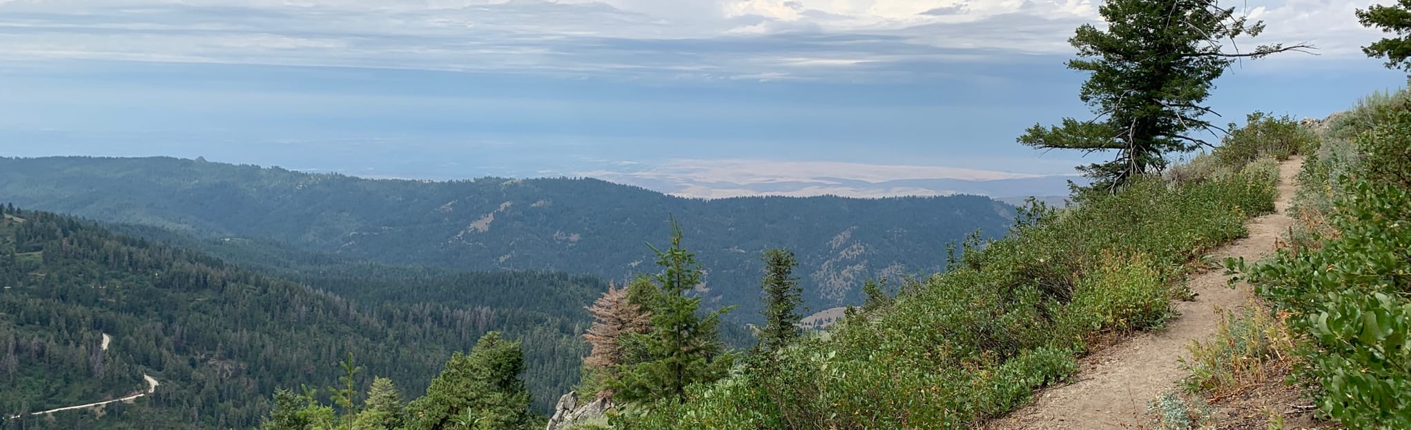 Mores Mountain Loop, Idaho - 421 Reviews, Map | AllTrails