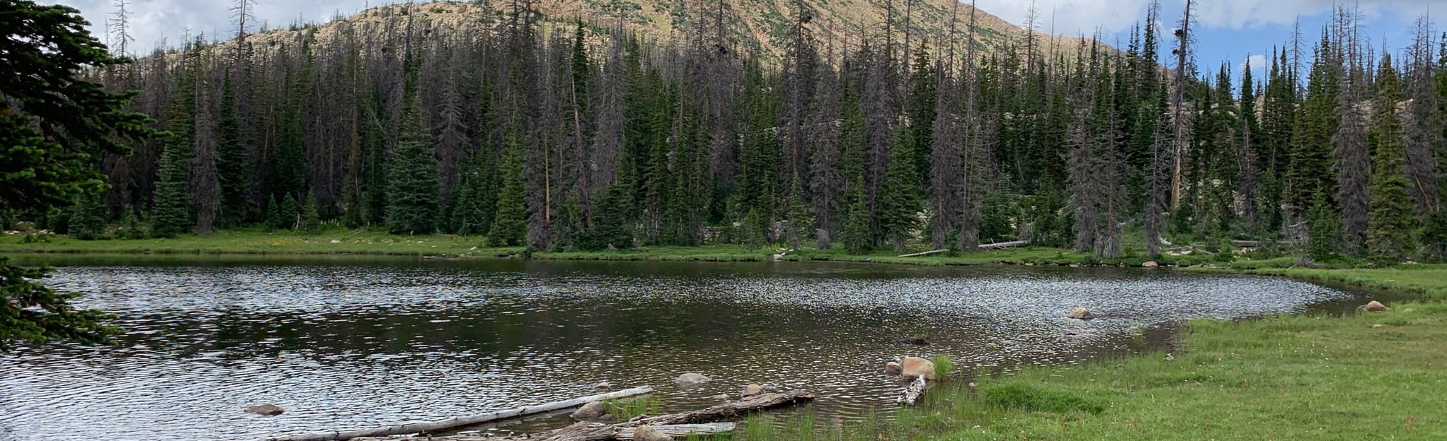 Mount Watson , Utah - 26 Reviews, Map | AllTrails