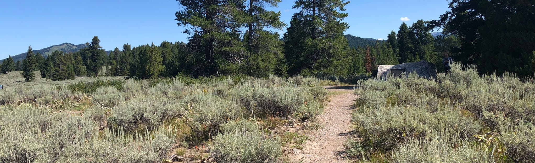 Lunch Tree Hill Trail, Wyoming - 224 Reviews, Map | AllTrails